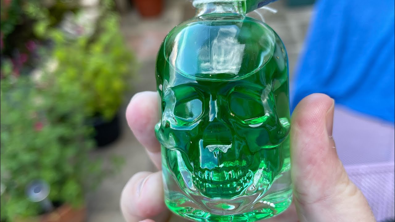 Absinthe Skull Bottle