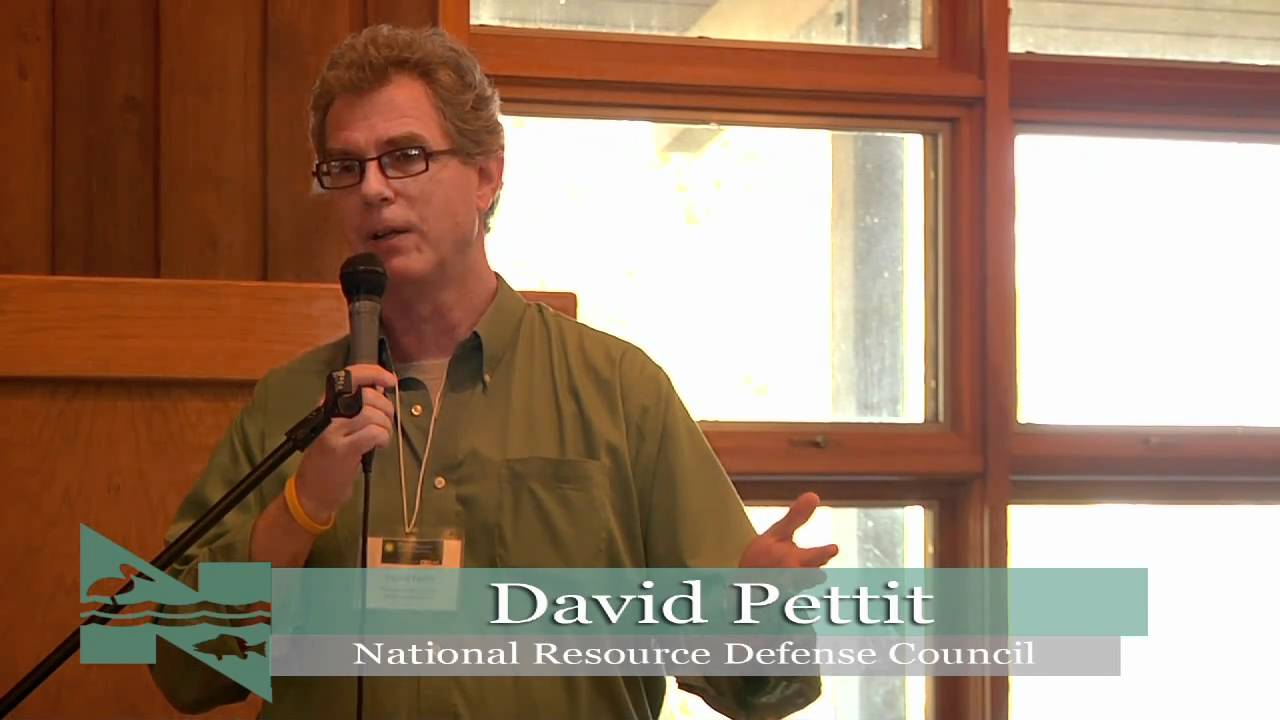 NRDA - David Pettit, NRDC - Gulf Gathering 2010 - YouTube