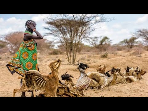 HUNGER IN KENYA •||• Pain, disaster and effects of Drought in Kenya ...