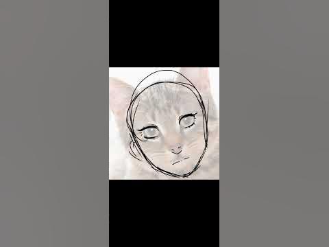 Cat face theory - YouTube