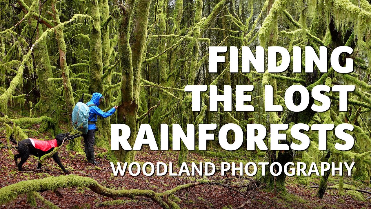 Finding the Lost Rainforests - Woodland Photography - YouTube