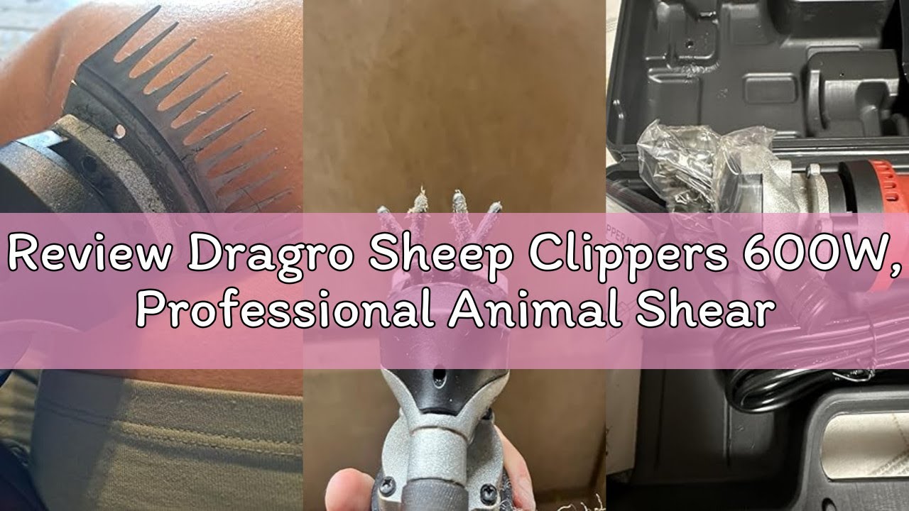 Review Dragro Sheep Clippers 600W, Professional Animal Shearing Machine ...