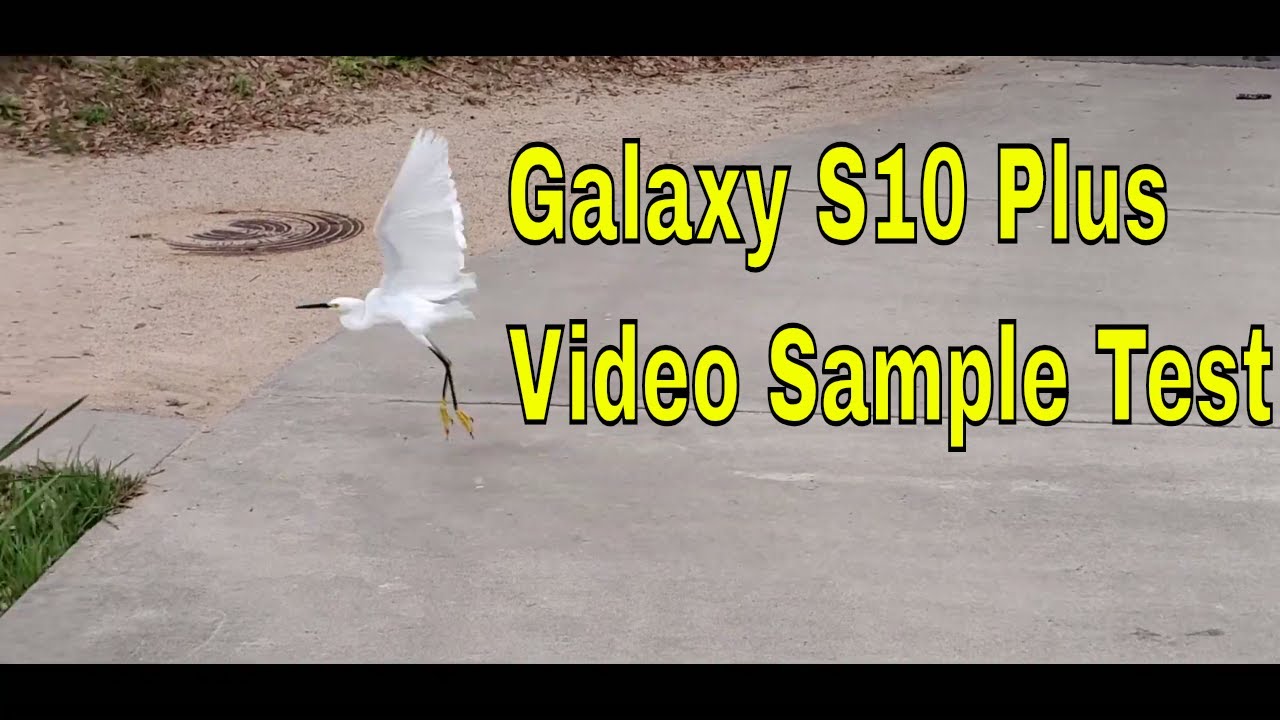 Samsung Galaxy S10 + Plus Raw Video Camera Test - YouTube