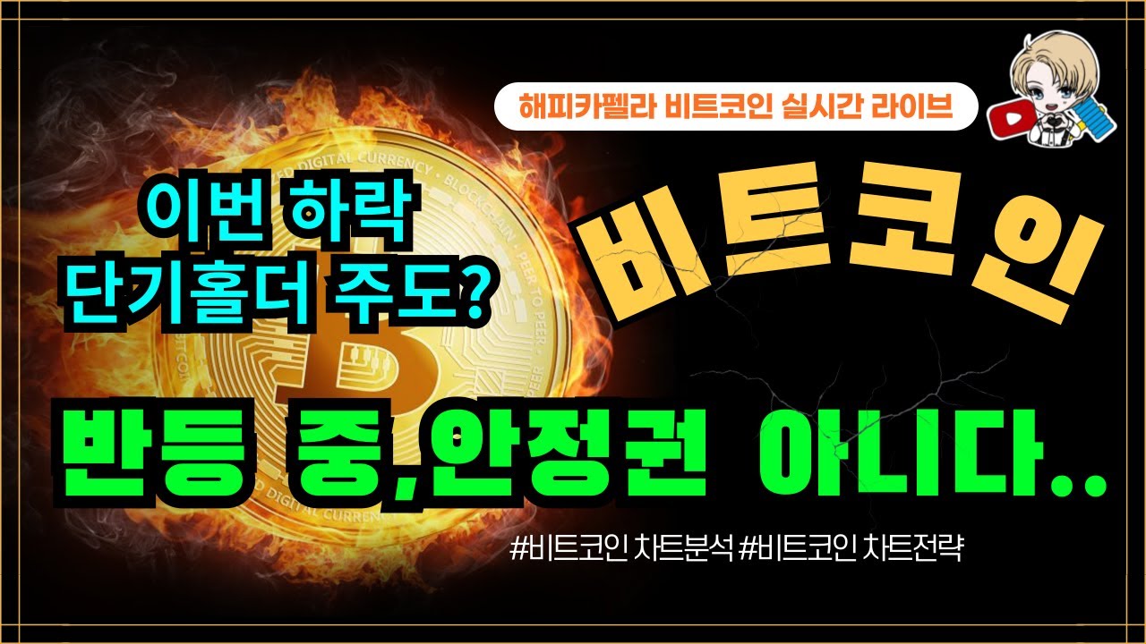 비트코인 실시간 비트반등 중 안정권 아니다이번 하락 단기홀더 주요 81 저녁💎비트코인 비트코인실시간 이더리움