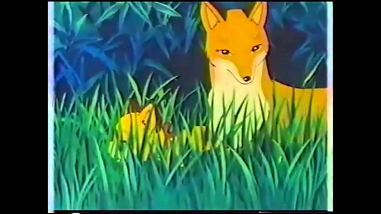 the fox of chironuppu - there is life - YouTube