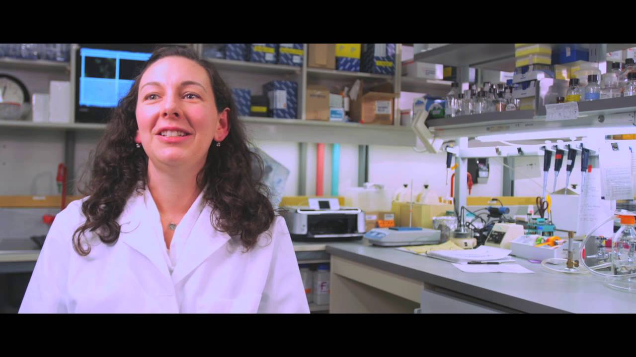 Seattle University Undergraduate Research - Biology 2 - YouTube