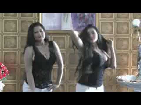 Duo srigala