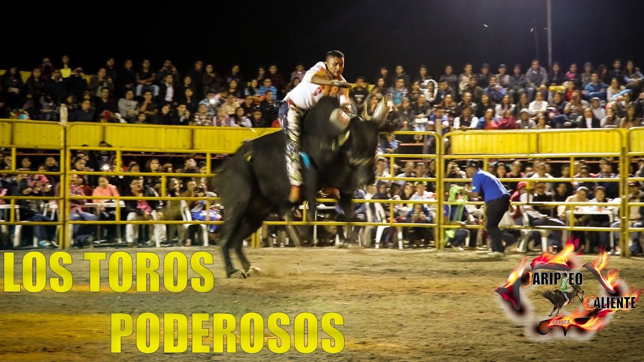 ¡UNA TORADA QUE NO SE LE RAJA A NADIE! SANGRE GUERRERA DE JARET JUÁREZ ...