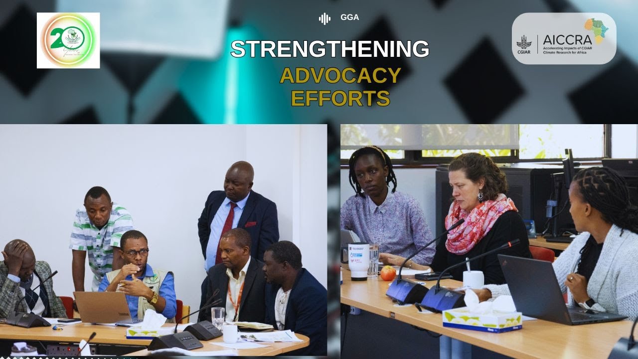 Integrating African perspectives into the Global Goal on Adaptation ...