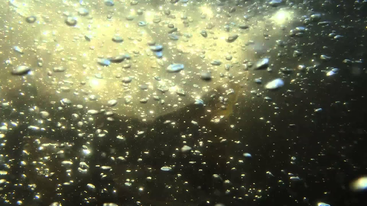 Minter creek state hatchery - YouTube