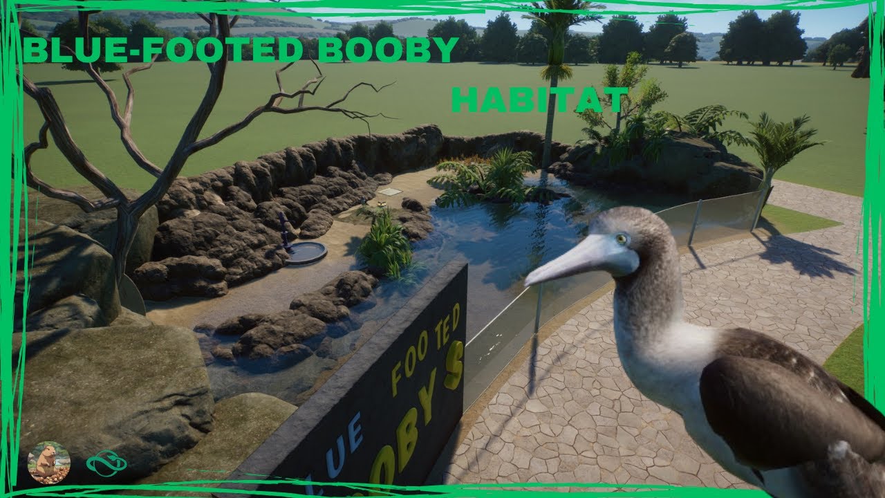 Blue footed booby habitat |Badger city zoo | Planet zoo (mods used ...