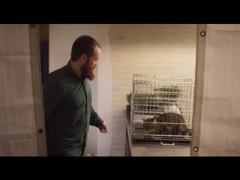 European restaurant serves dog and cat meat!