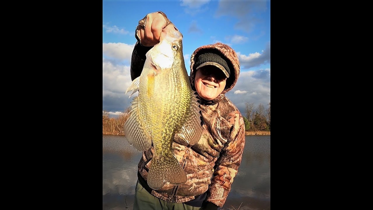 GIANT CRAPPIE caught while bass fishing in the cold! - YouTube