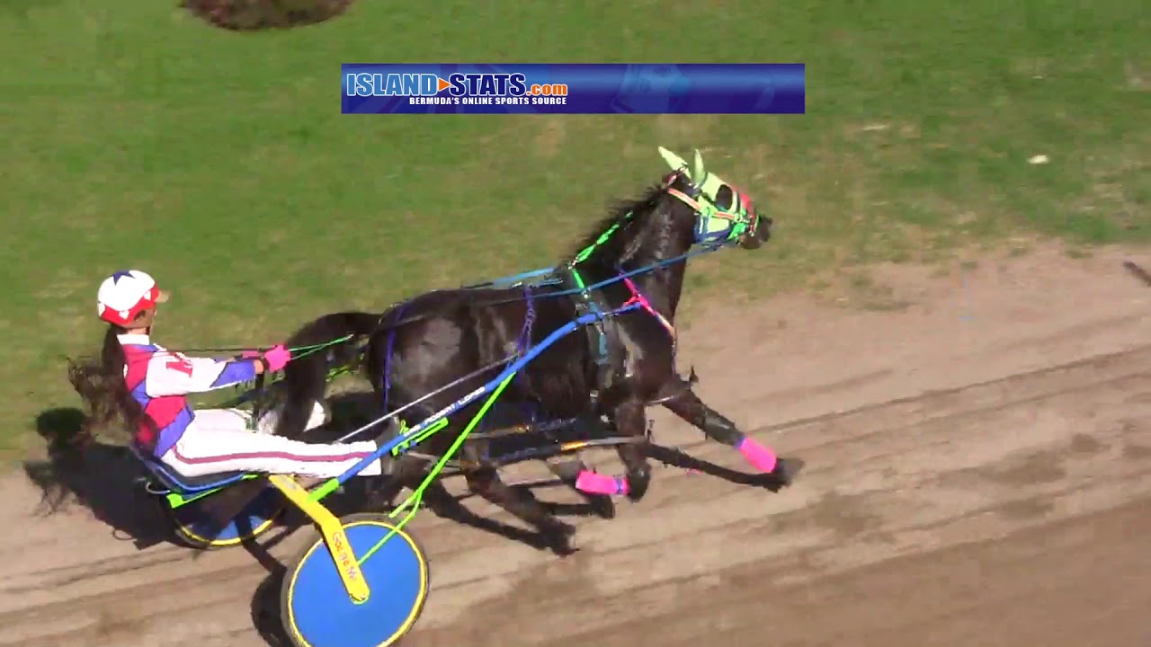 Boxing Day Harness Pony Racing 2019 - YouTube