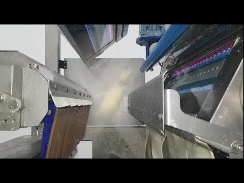 Raynbow sorting machine for peeled potatoes | Raytec Vision - YouTube