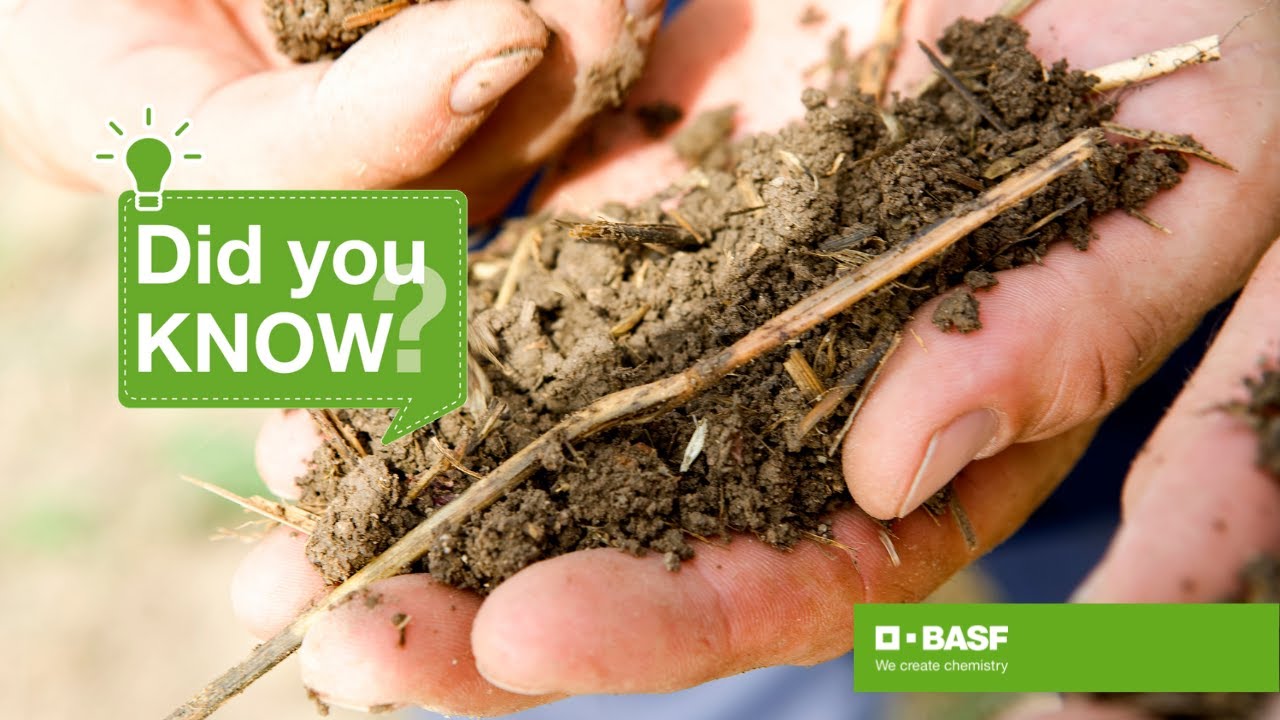 Did you know one gram of healthy soil can contain up to 1 Billion ...