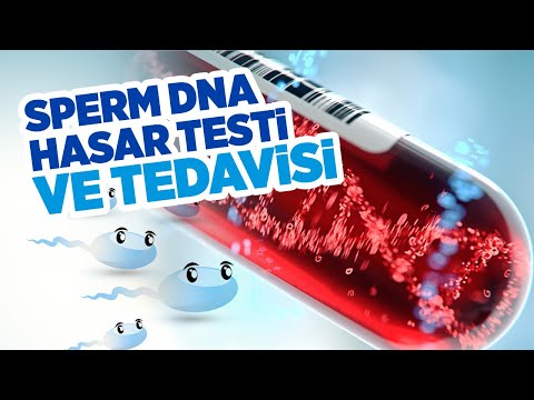 Sperm Dna Hasarı Nasıl Tedavi Edilir? - Prof. Dr. Gamze Sinem