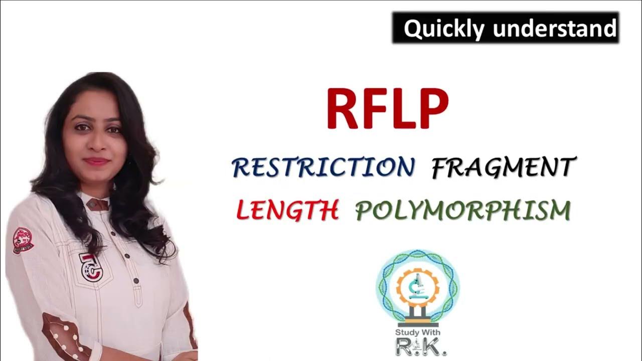 RFLP Technique | Restriction Fragment Length Polymorphism | Tool & Technique | Basic Explanation ...