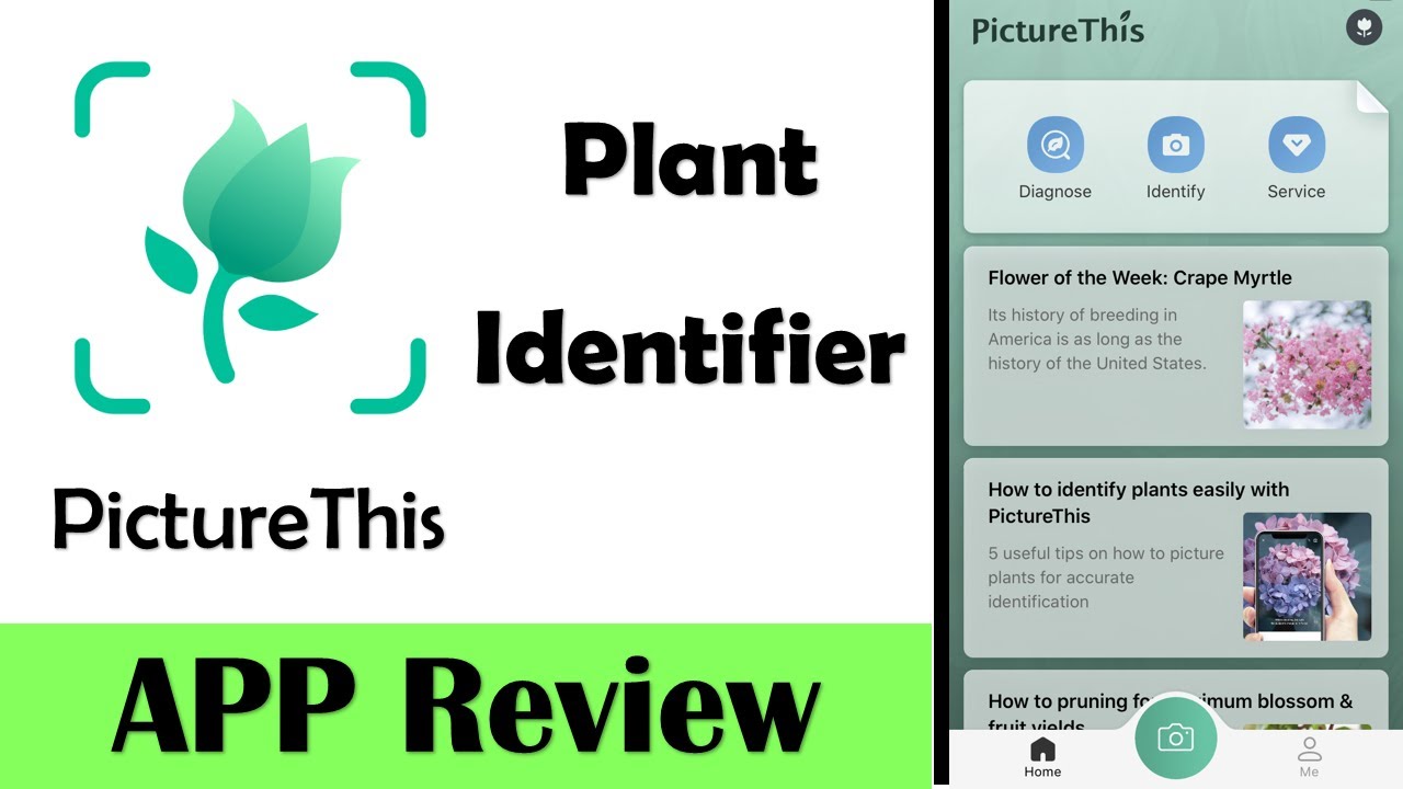 PictureThis - Plant Identifier | App review - YouTube