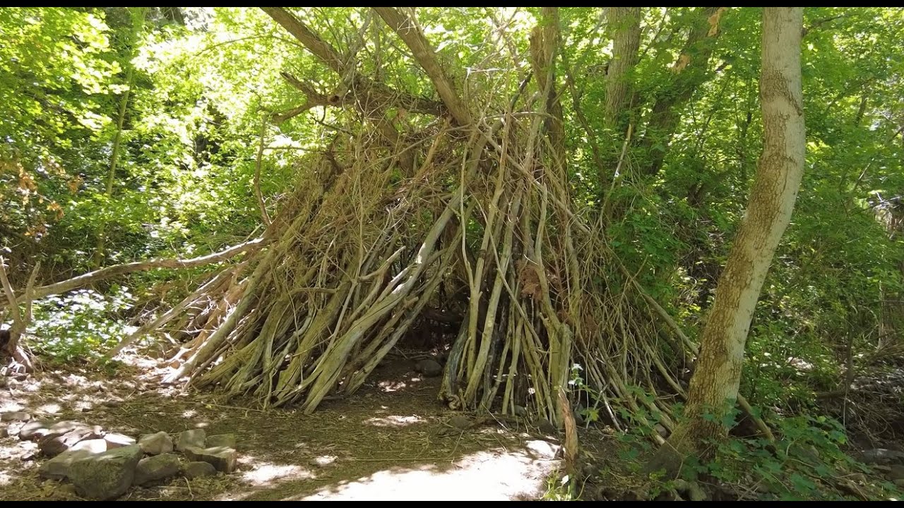 Revisiting Structures & Up the Mtn. to a Primitive Squatchy Spot 6-21 ...