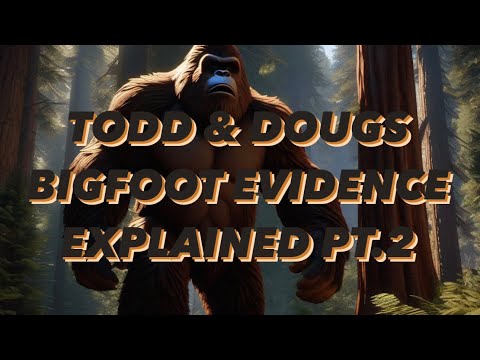 New Bigfoot Evidence Uncovered: Footprints, Nest, and Structure Analysis