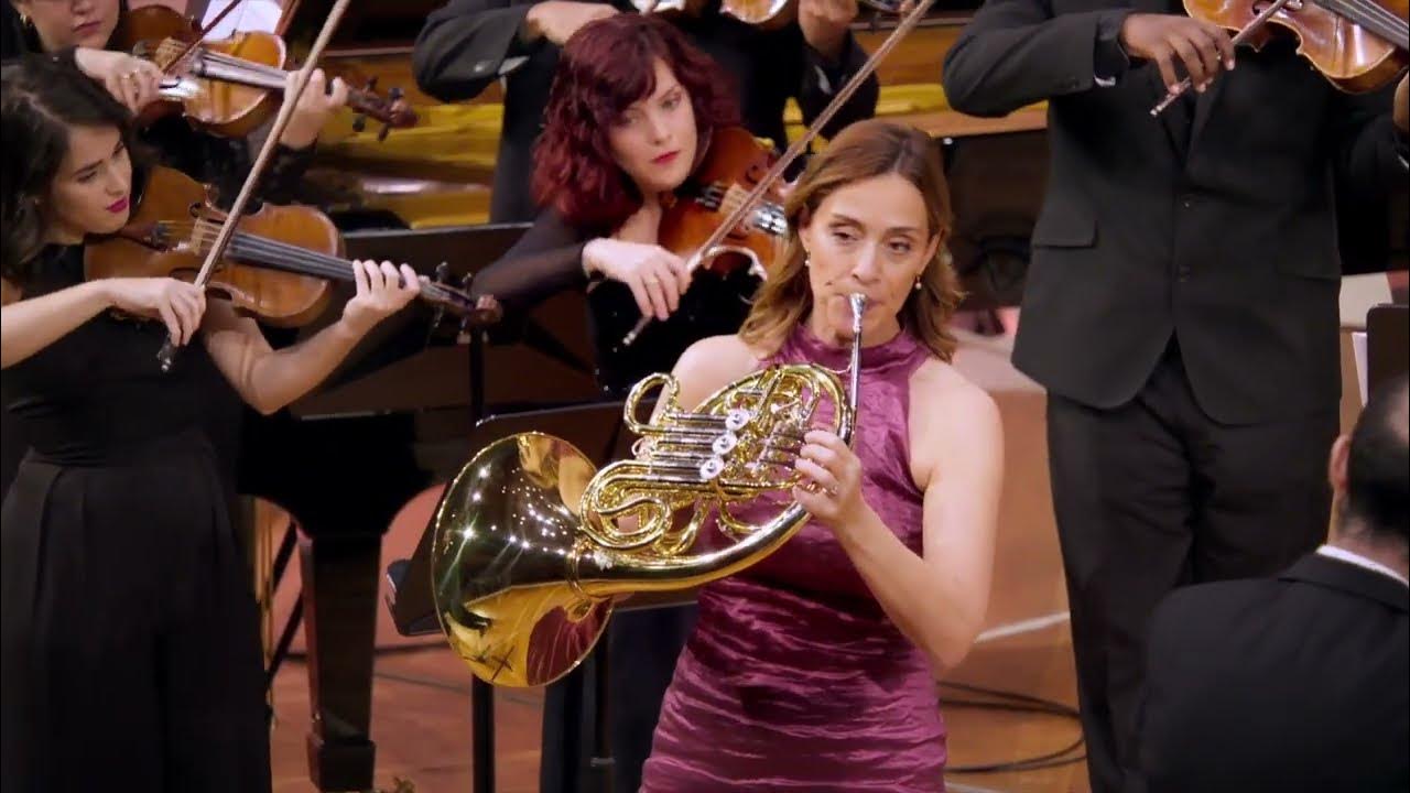 Mozart y Mambo - Mozart Horn Concerto No.3 K447 II.Movement - YouTube