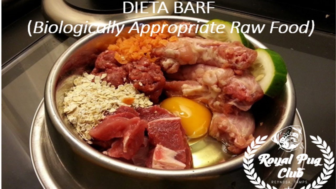 Preparacion de una Comida basada en la Dieta BARF - YouTube