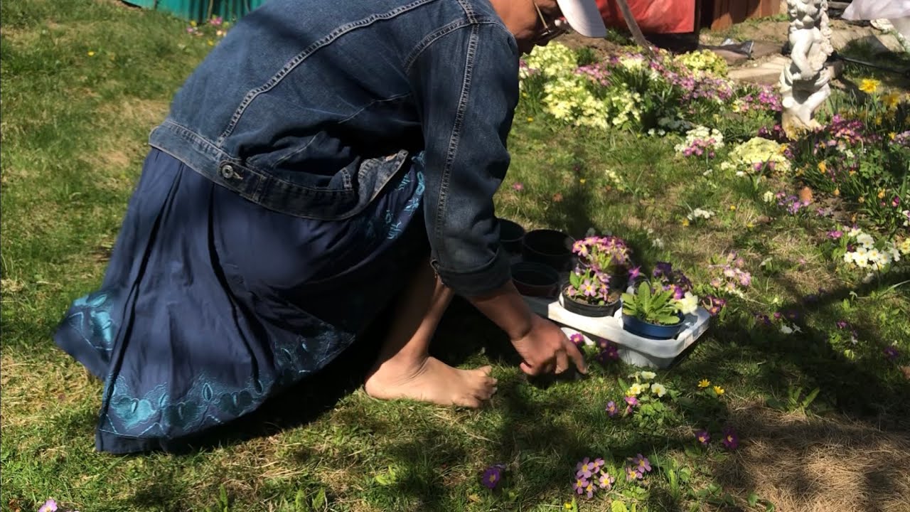 Barefoot 🦶 in spring flower time at my favourite place. - YouTube