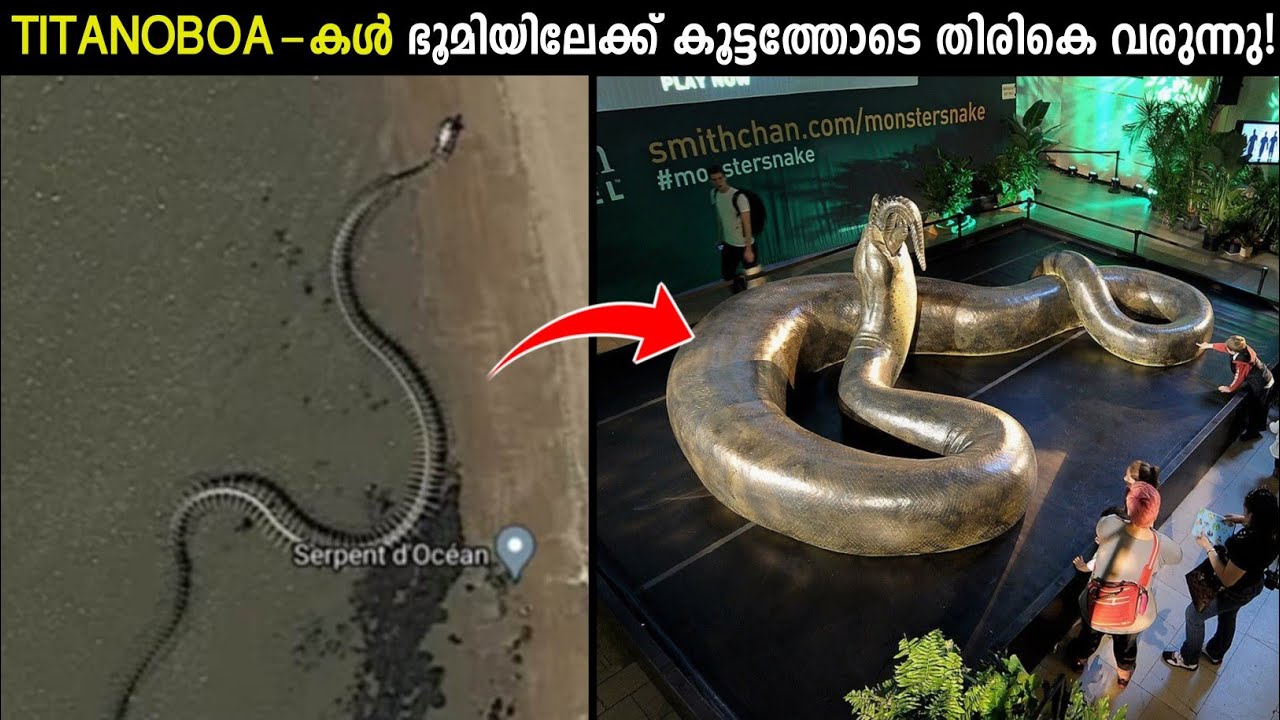 Titanoboa-കൾ ഭൂയിലേക്ക് തിരികെ വരുന്നു?! Does Titanoboa will come back ...