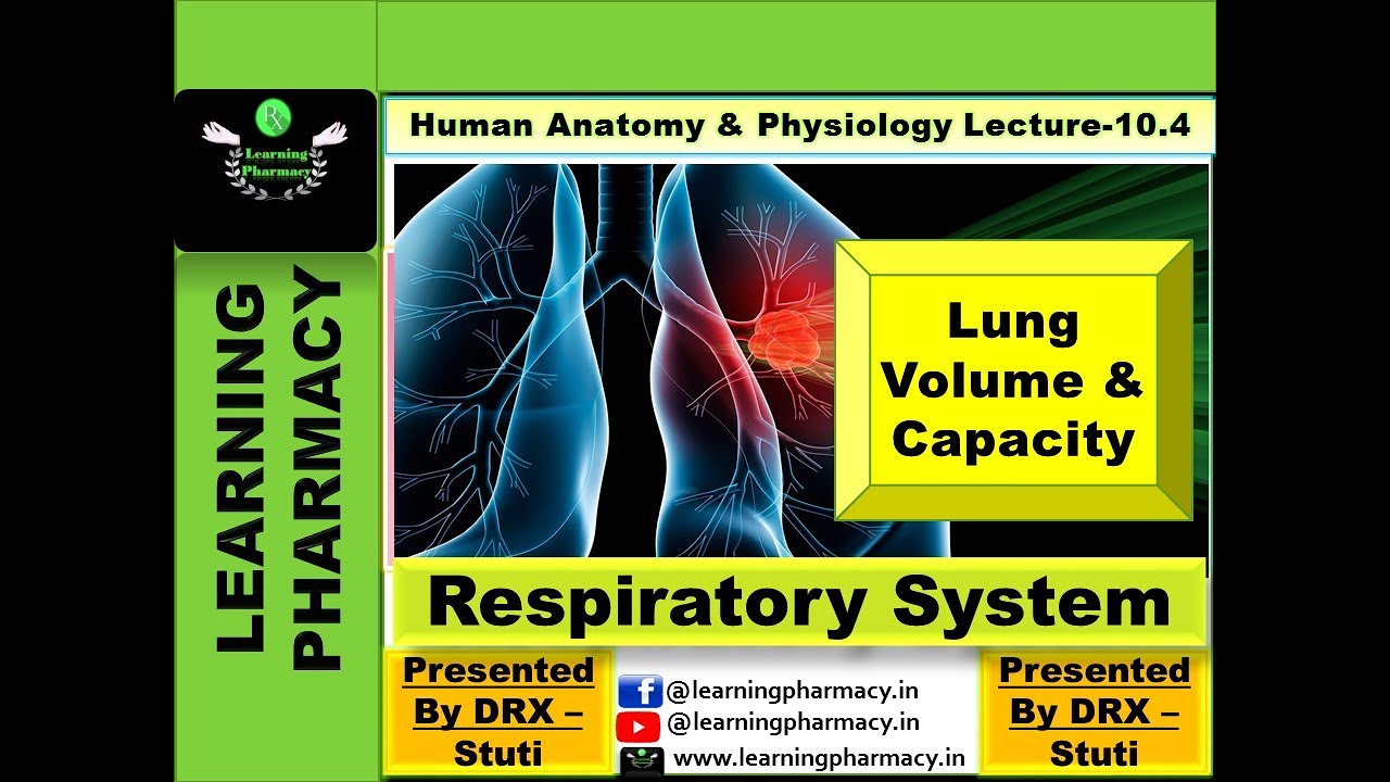 Ch-10.4 | Lung Volume & Capacity | Respiratory System | Human Anatomy ...