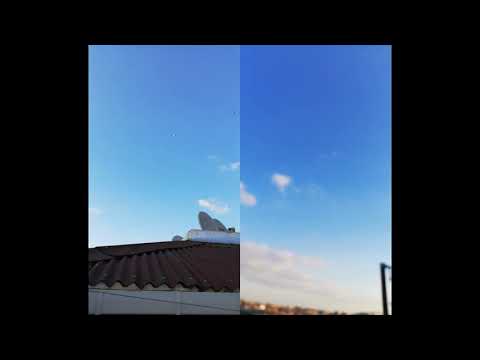 Sabuni oyun kuşu