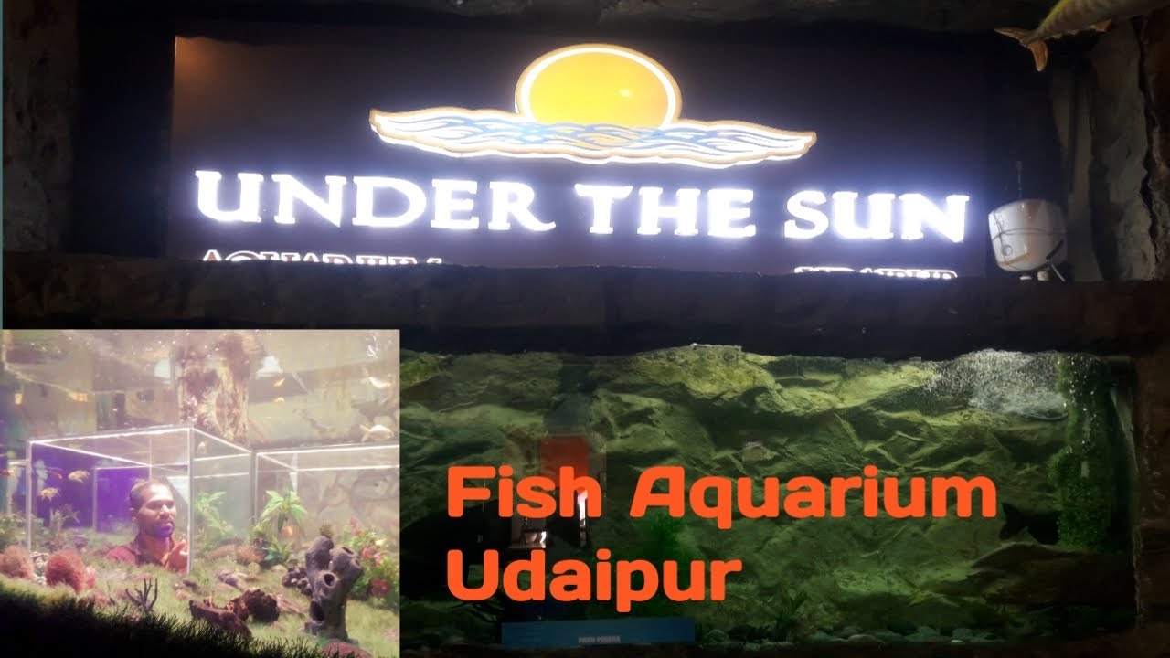Udaipur Fish Aquarium/Biggest Aquarium / Under the Sun / Fateh Sagar ...