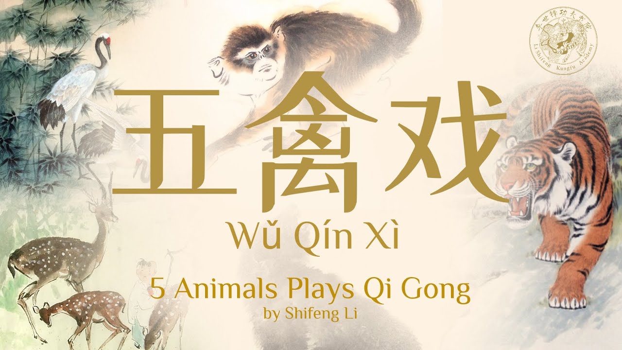Wu Qin Xin 五禽戏 ☯️5 Animals Plays Qi Gong by Shifeng Li - YouTube