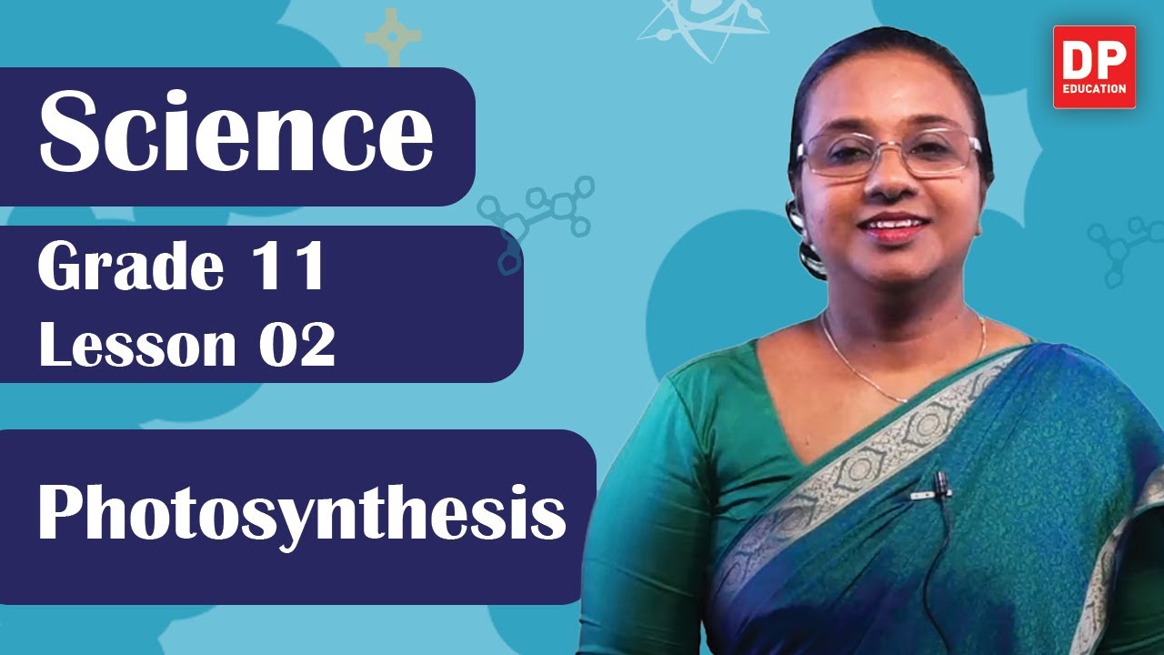 Lesson 02 - Photosynthesis | Grade 11 Science in English - YouTube
