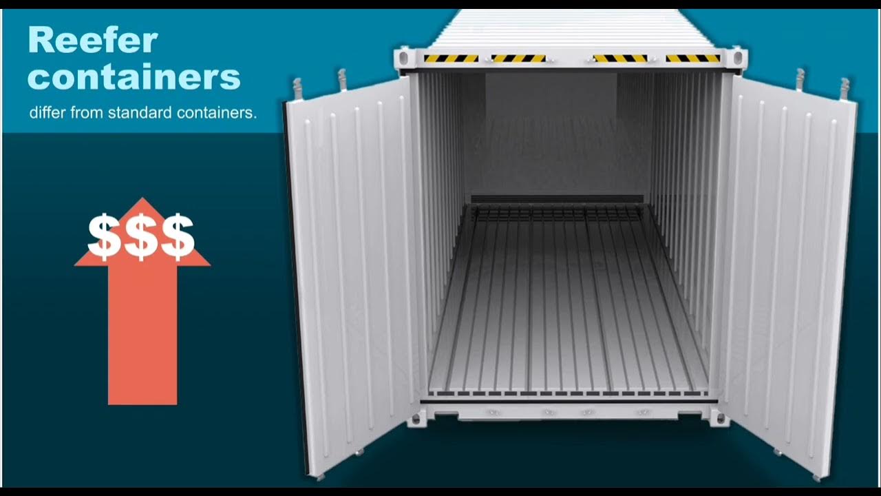 Reefer Container and Operations - YouTube