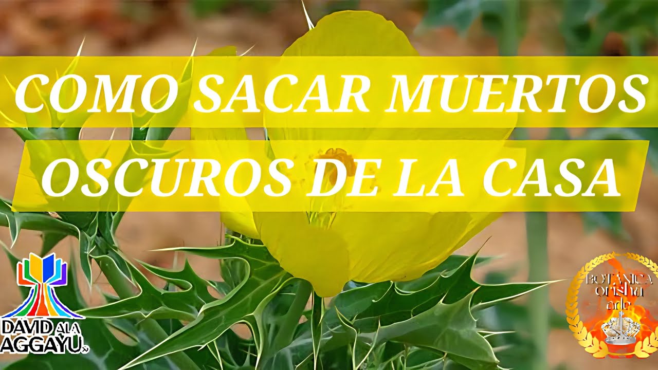 Como Sacar Muerto Oscuro de la Casa - YouTube