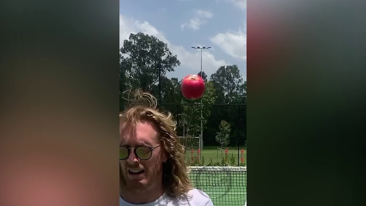 LIKE A BOSS / BEST WINS COMPILATION #201 - YouTube