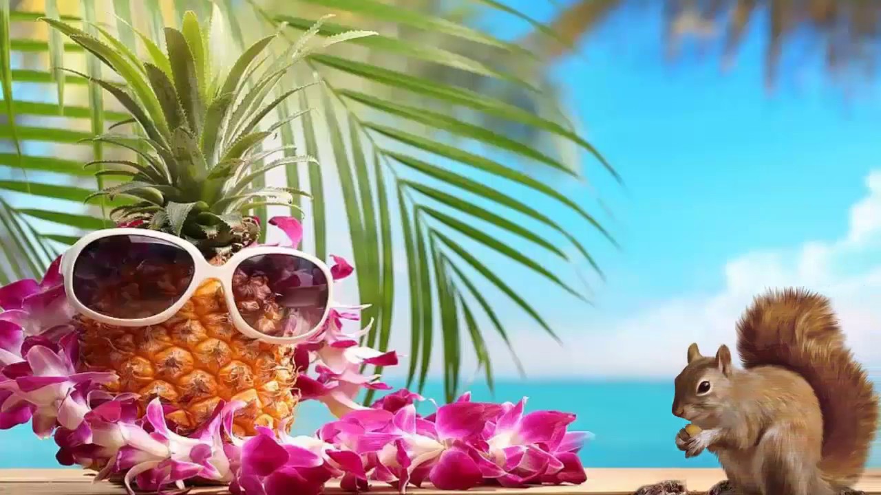 Entrevista a Objetos Inanimados (With English Subtitles) - YouTube