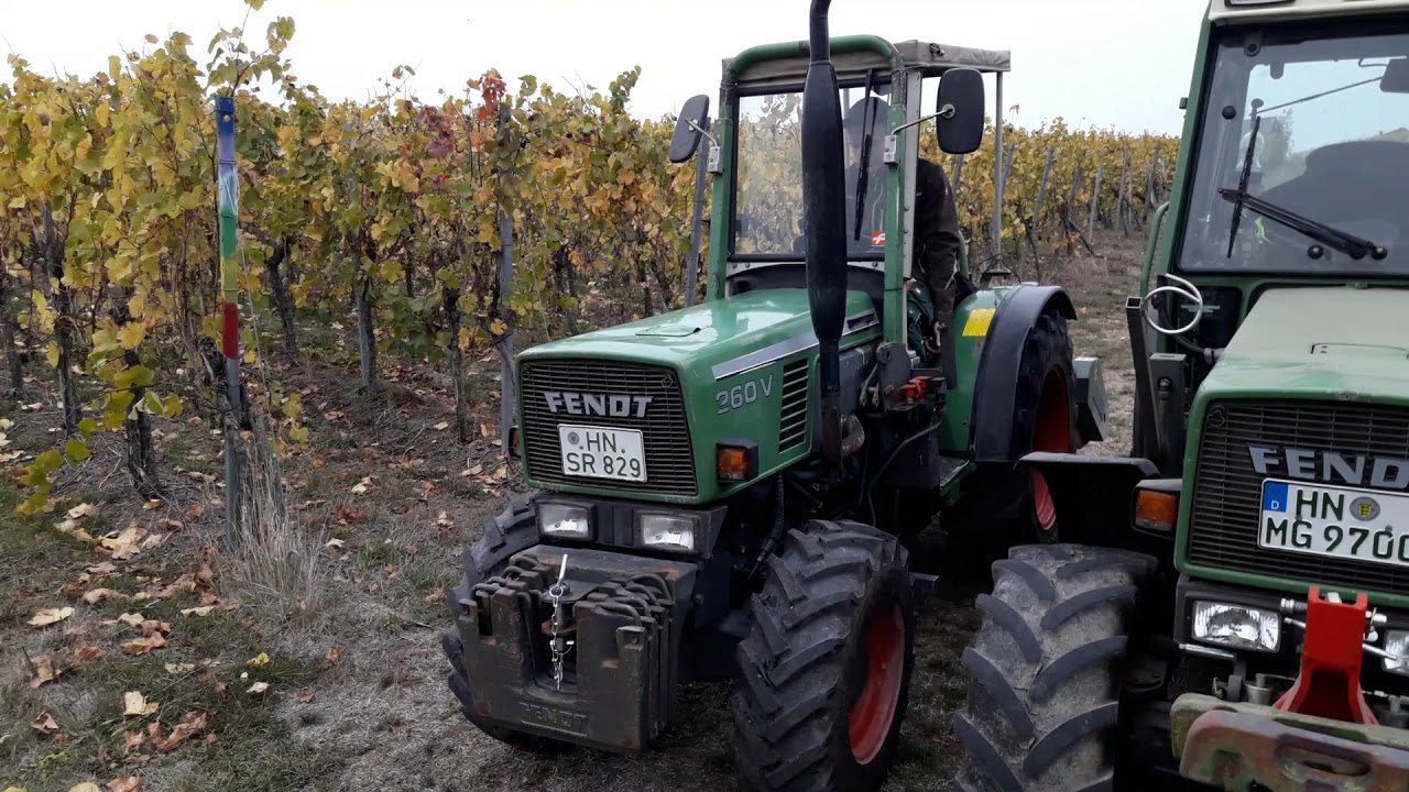 Reben häckseln mit Fendt 260V - YouTube