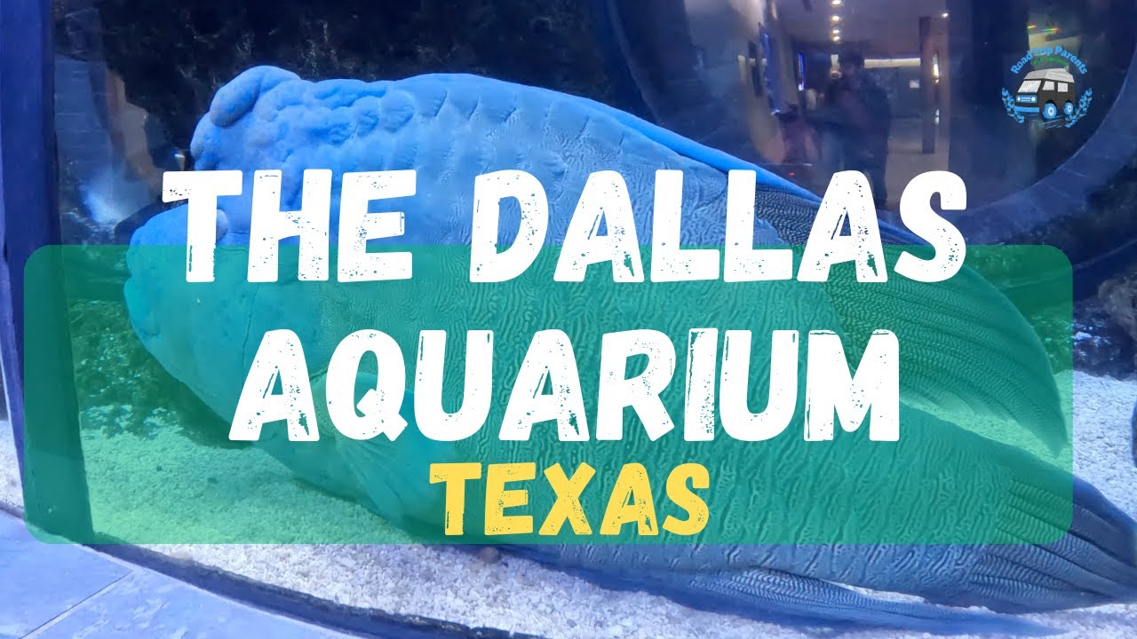 The Dallas World Aquarium, Texas Quick Tour - YouTube