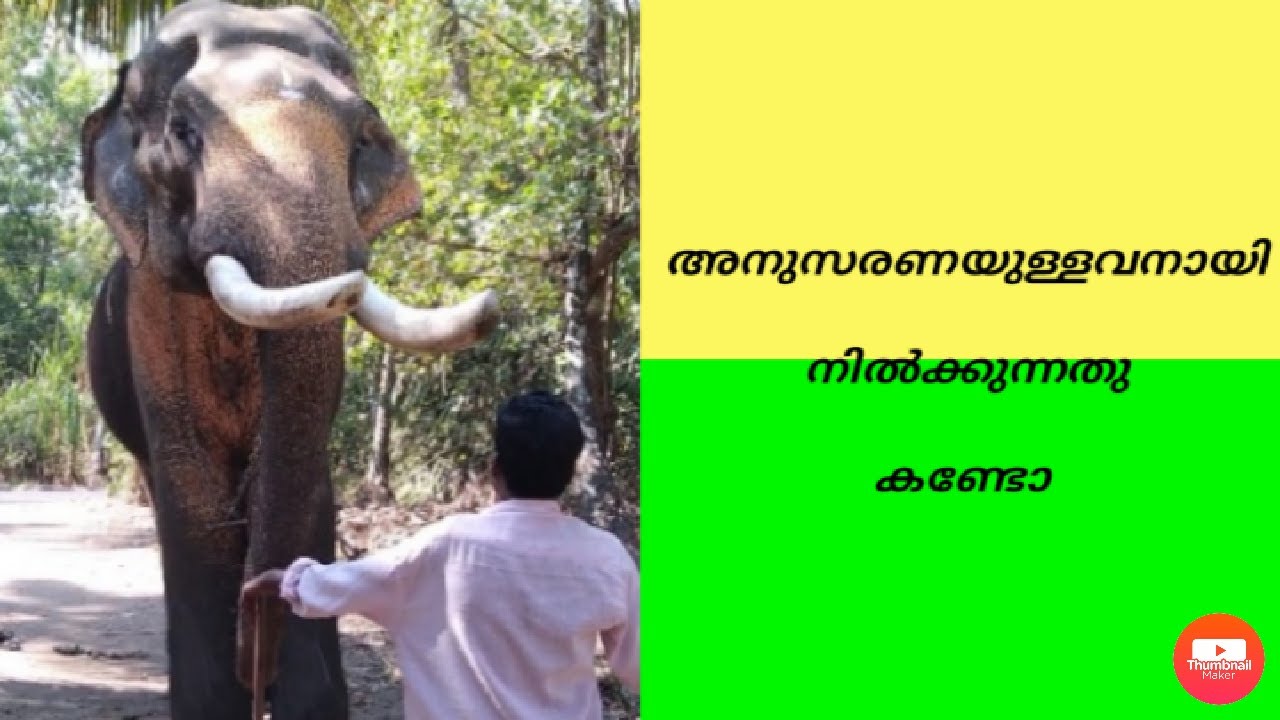 PULLUT UNNIKRISHNNAN - YouTube