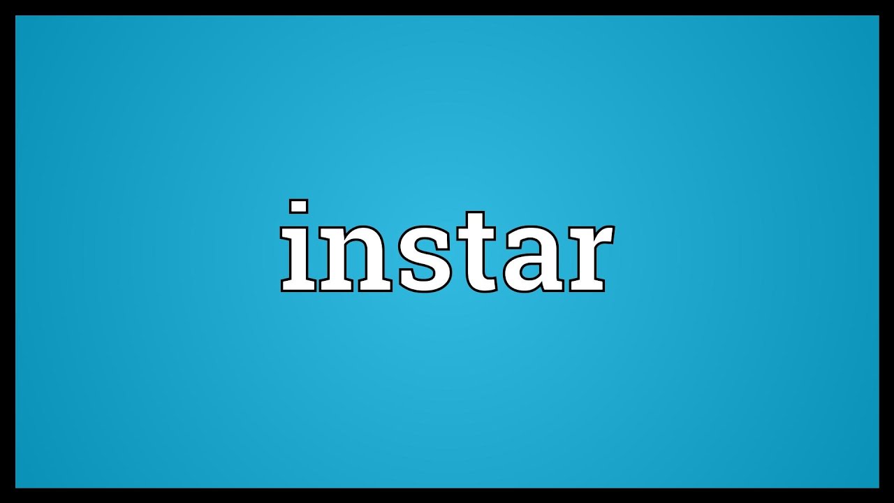 Instar Meaning - YouTube
