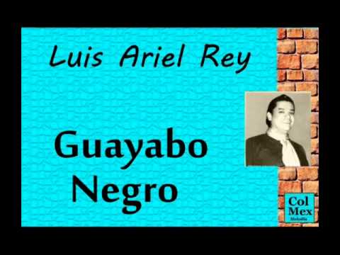Luis Ariel Rey: Guayabo Negro. - YouTube
