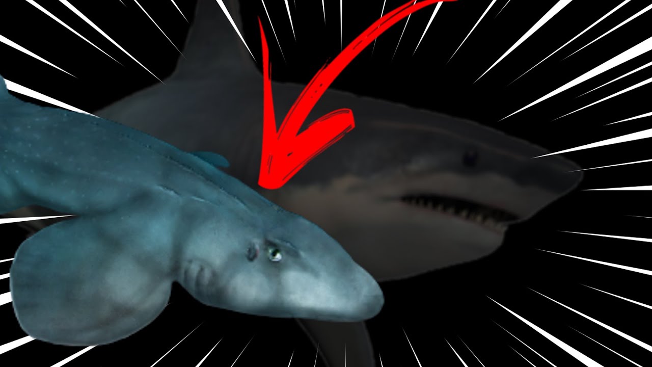 O Protospinax - O Tubarão Mais Evoluído do Jurássico - YouTube