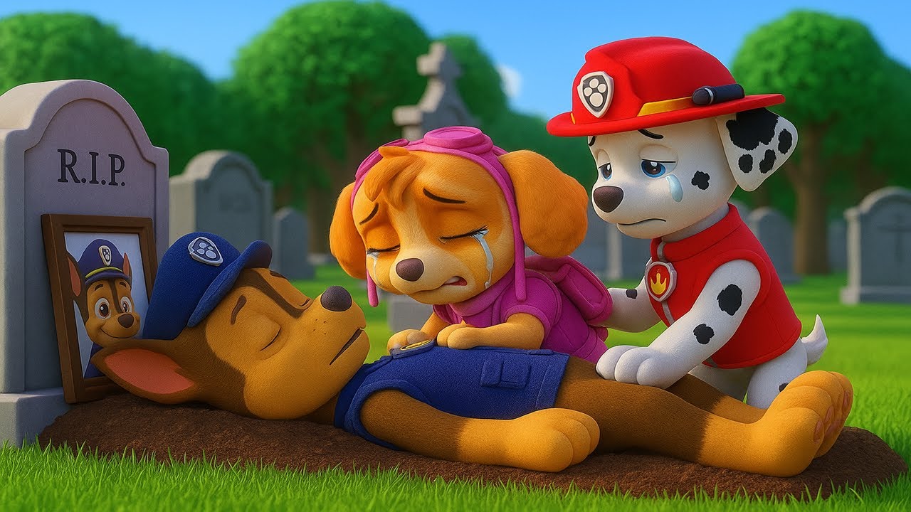 Good Bye My Friends, CHASE!! - SKYE Sad Story | Paw Patrol Animation ...