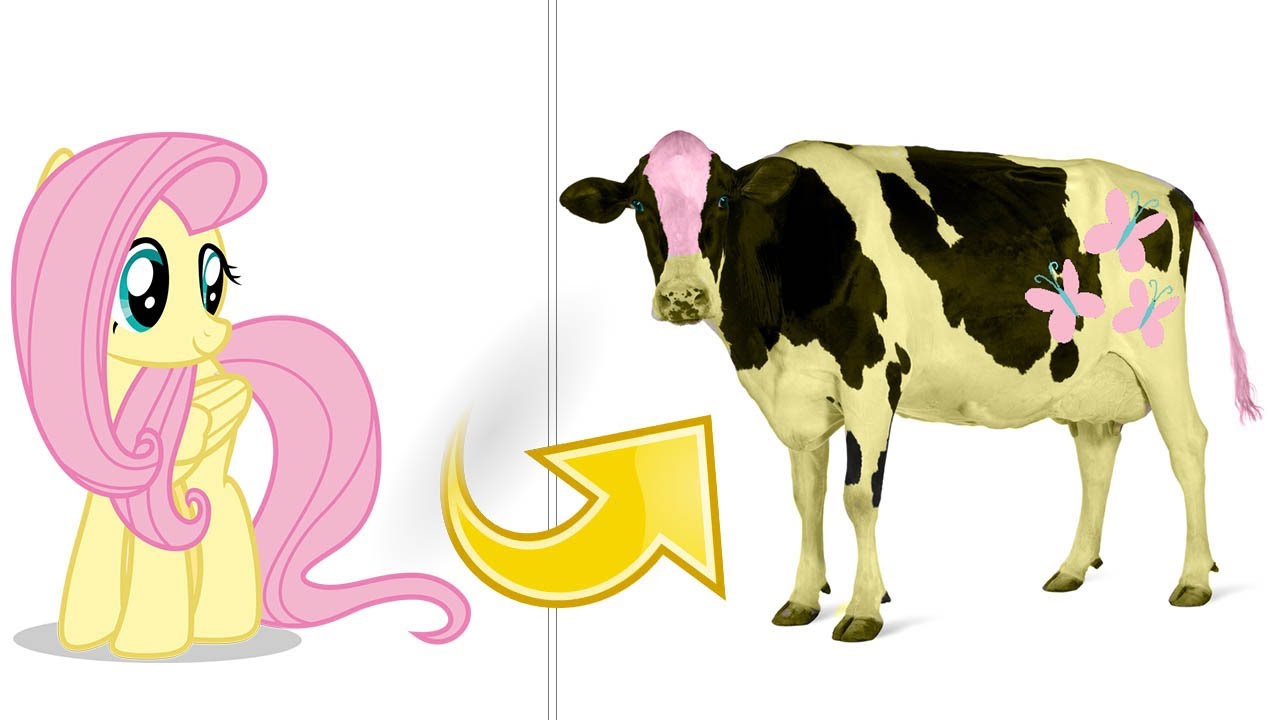 Fluttershy as Cow MLP - YouTube