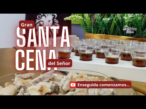 Cita con la Vida Elena 25/08/2024