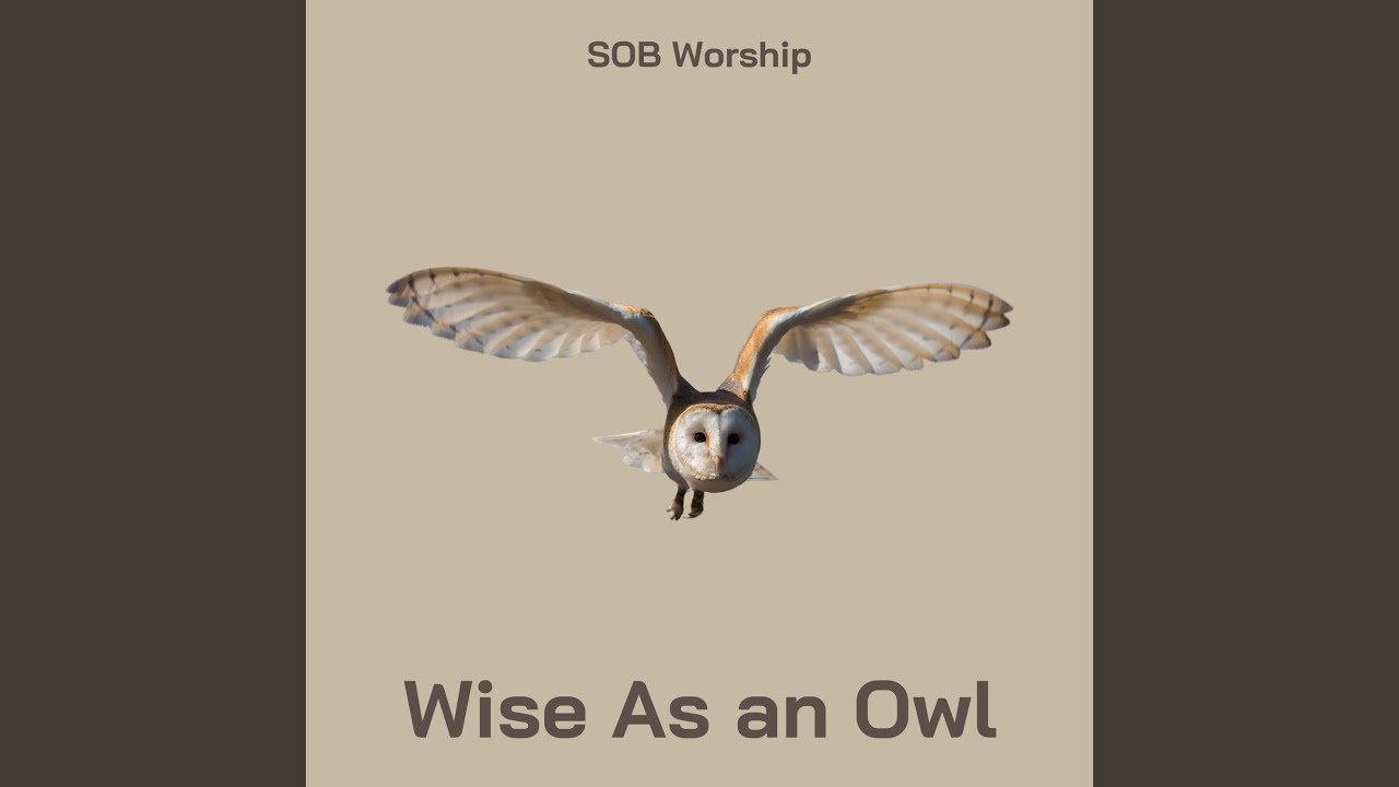 Wise As an Owl - YouTube