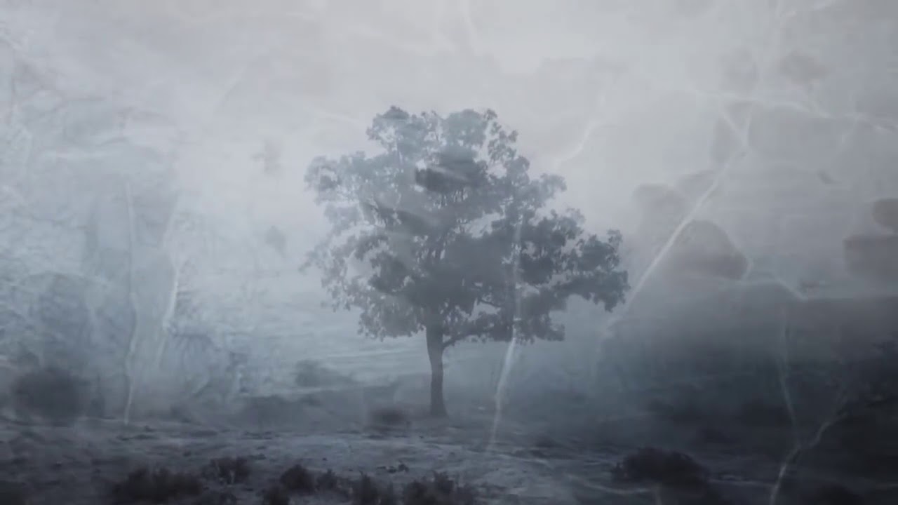 Exponiendo a Tarabun - YouTube