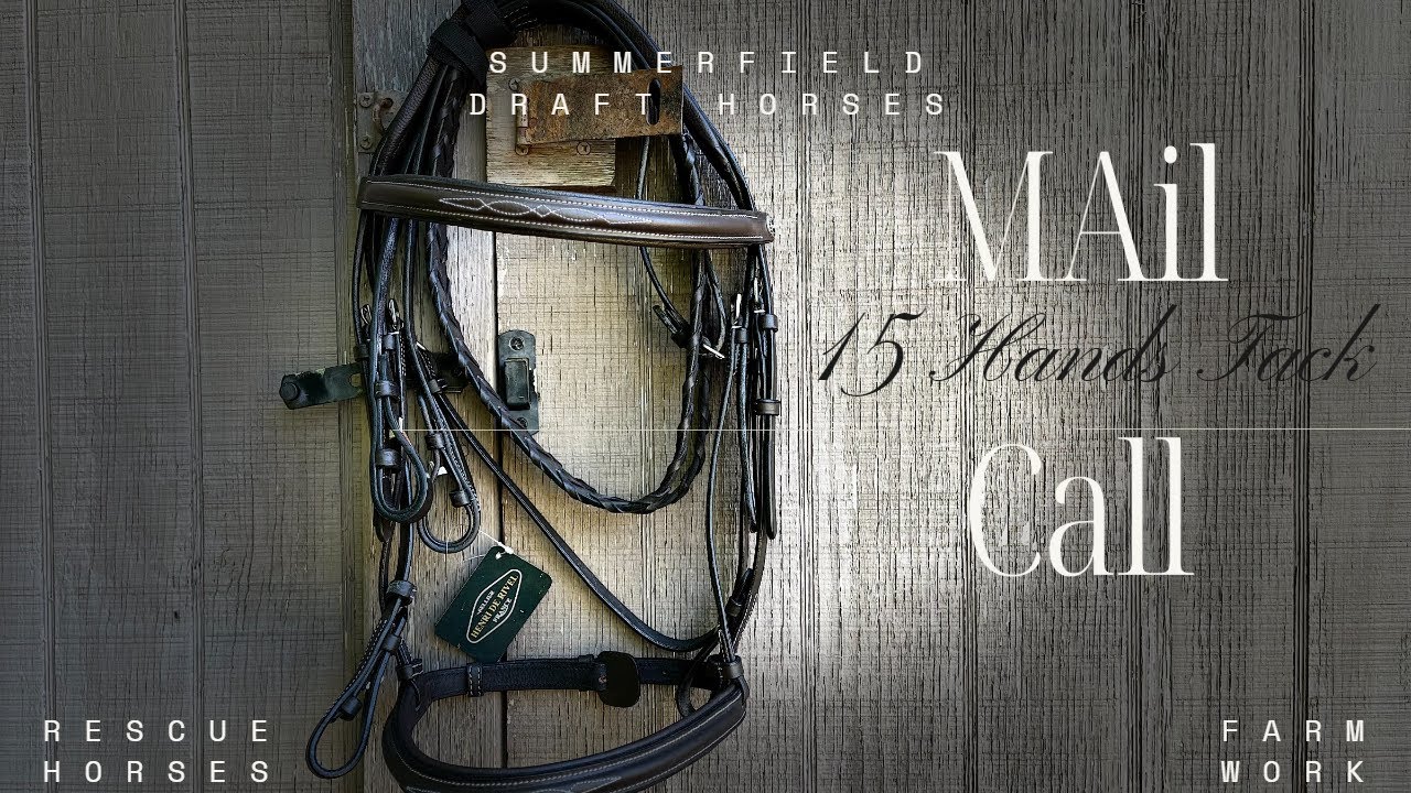 Mail Call! 15 Hands Tack gets a new product. - YouTube